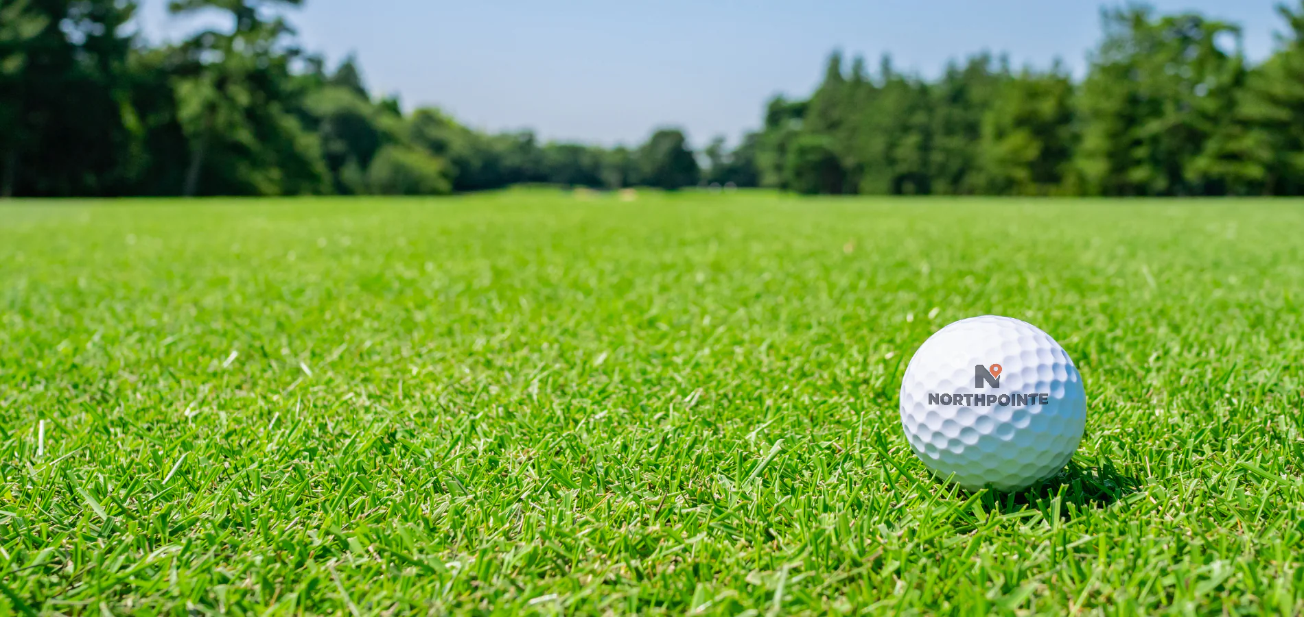 Revving Up Results: Custom Shopify Redesign - Ember & Grid